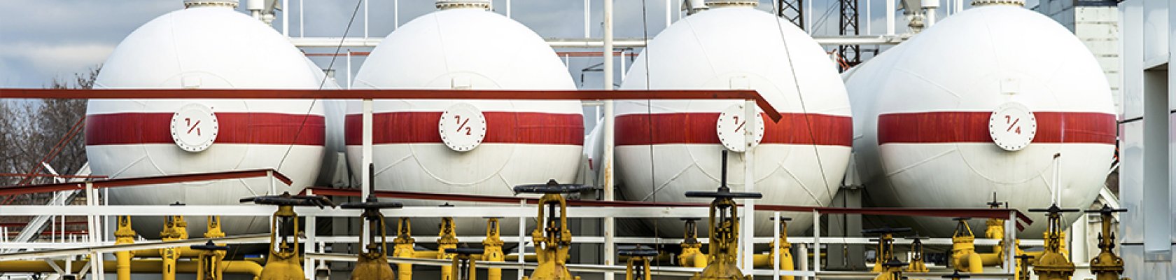 Strongcoat EN100 | DCP